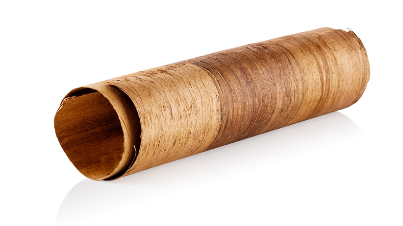 How paper is Made? | World Paper Mill