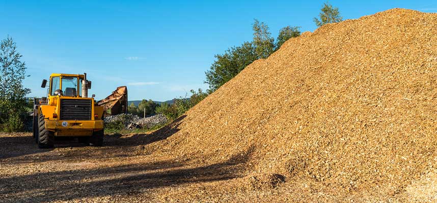 What are the Essential Raw Materials Used in Paper Making? | World ...